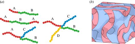 A A Red Dot Indicates The Monomer A Green Monomer B Blue Monomer C