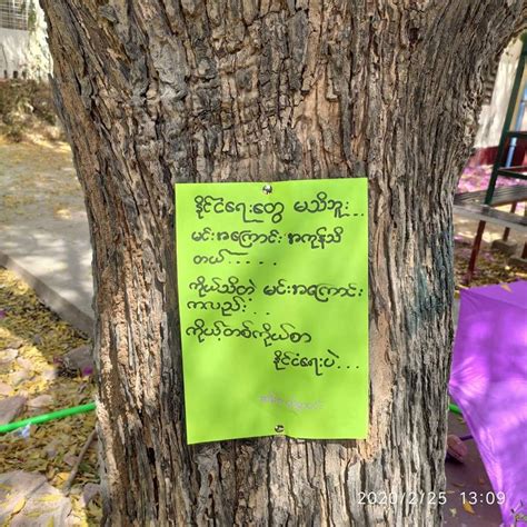 Dvb နွေရာသီကို ကဗျာများဖြင့် အလှဆင်ထားသည့် ရေနံချောင်းကောလိပ် ဓာတ်ပုံ