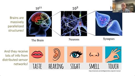 Limtalk E Series Biomimetic Interfaces For Neuromorphic Signal