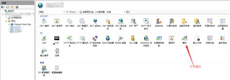 Windows IIS下的 ApplicationHost config IIS存储配置区文件 说明 数据库运维技术服务