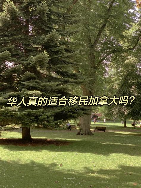 华人适合移民加拿大吗？看完就明白了！ 知乎
