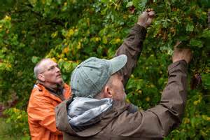 How Iceland Is Learning From Scotlands Forestry Sector Agrilandie