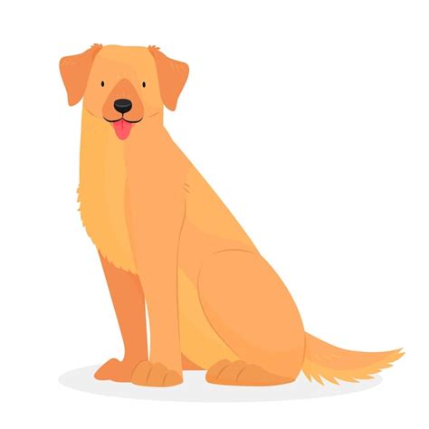 Premium Vector A Labrador Or Golden Retriever With His Tongue Hanging