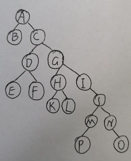 数据结构与算法 二叉树与树（单选题含题解）对以下算法功能最准确的描述是。 Int Fun1btreenode Bt