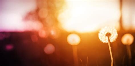 Aypa Power Secures 320m Corporate Credit Facility Daniel Santelli