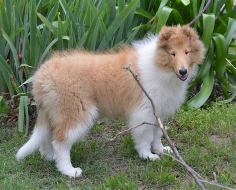 Pictures Of Bridgit Ryan