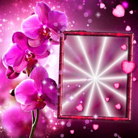 Lissy S In Love October Lissy For You Orchids Lissy I Love You Lissy For You