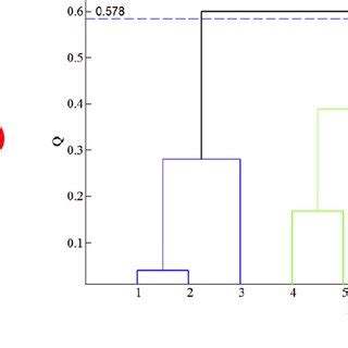 A An Input Network The Colors Have Nothing To Do With The Input Download Scientific Diagram
