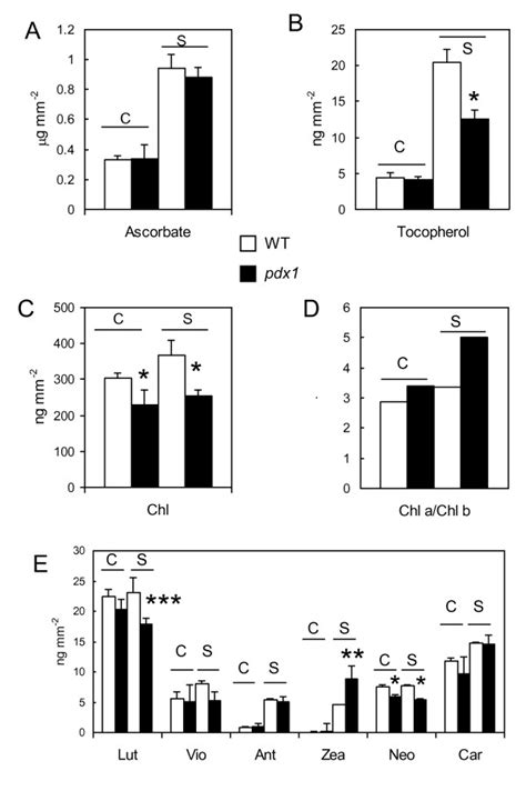 Levels Of Chlorophyll And Various Antioxidants In Wt Leaves And Leaves
