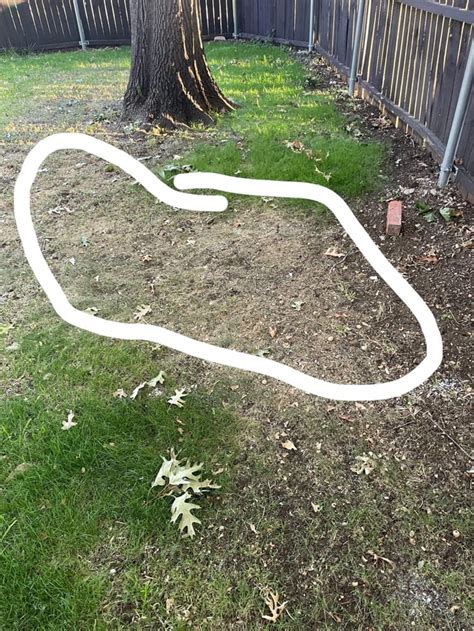 Anyone Know What Could Possibly Be Going On With My Package Rups