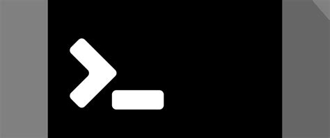 Copy Pasting Output From The Terminal Dev Community