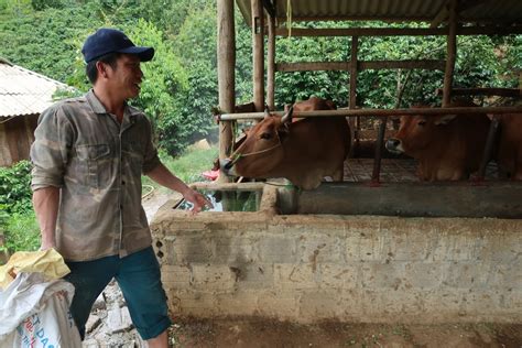 issue 14 of ilri east and southeast asia newsletter out now ilri asia