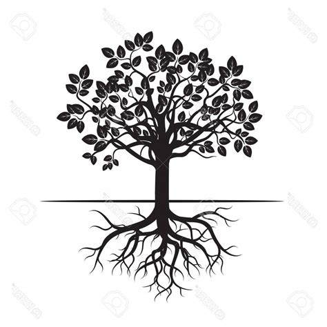 Tree Roots Icon At Vectorified Collection Of Tree Roots Icon Free