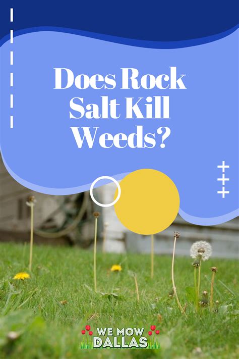 How To Soften Hard Soil In Lawn What Makes It Hard Artofit