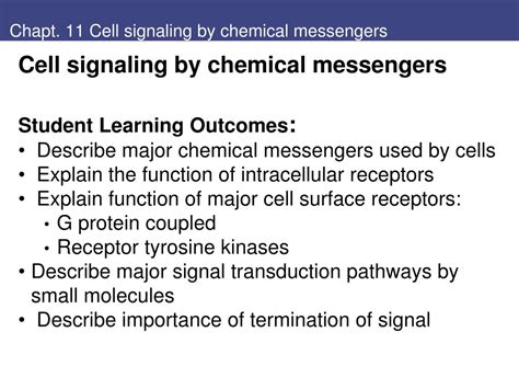 PPT Chapt Cell Signaling By Chemical Messengers PowerPoint Presentation ID