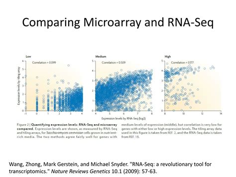 Ppt Exploring The Human Transcriptome Powerpoint Presentation Free