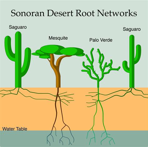 Species Biology Rangeland Ecosystems Of The Western Us