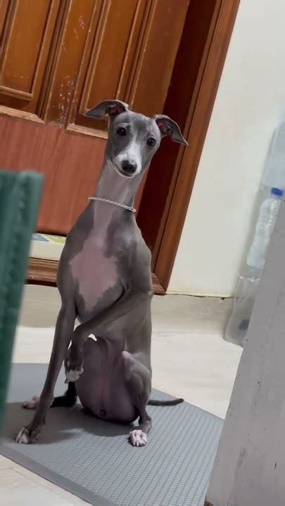 안방에서 쫓겨난 김율 Youtube