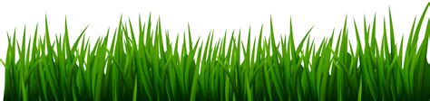 Grass Png Image Grass Grass Drawing Png Images Images And Photos Finder