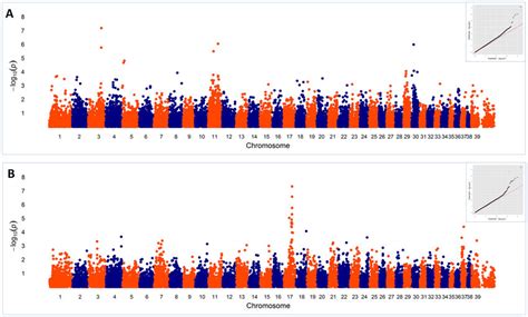 Manhattan And Quantile Quantile Qq Plots The Plots Summarize The