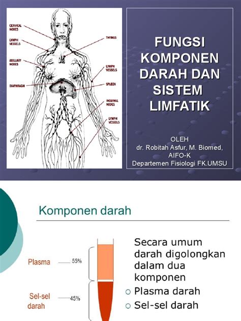 Sistem Limfatik Dan Komponen Darah Pdf