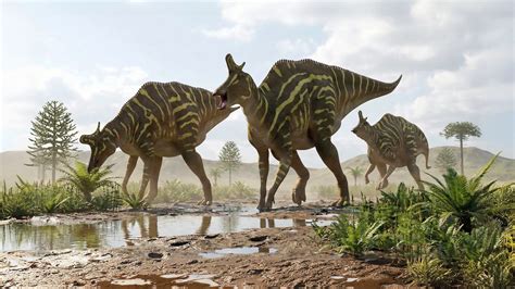 Lambeosaurus Lambei Lagarto De Lambe 76 A 75 Millones De Años