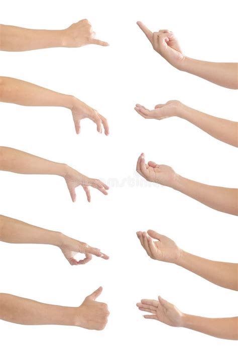 Collection Of Human Hands In Multiple Gesture Isolated On White Stock