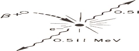 Schematic Representation Of Mutual Annihilation Reaction Between A Download Scientific Diagram