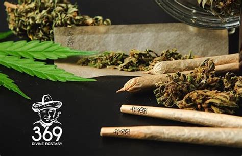 Branding Design Luxury Brand Logo Design Company Americas Logo