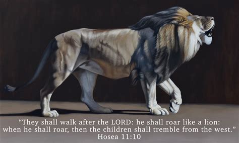 Cory James Mclaughlin