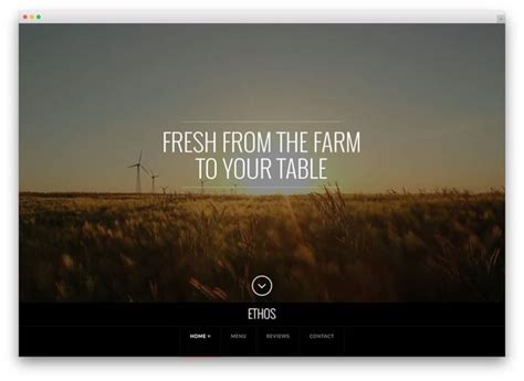 Updated Best Drag And Drop WordPress Themes EWebDesign