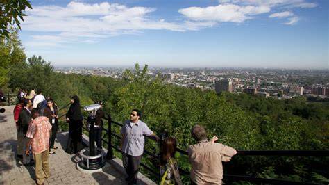 Les Meilleures Visites De Montréal Hellotickets