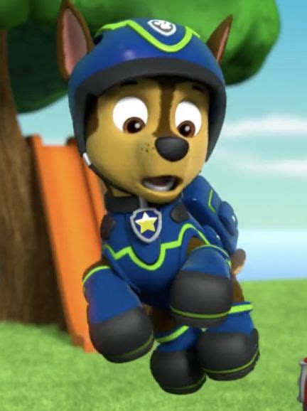Pin On Paw Patrol