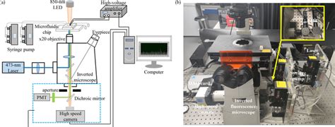 Droplet Based Microfluidic Screening Platform A Schematic Diagram