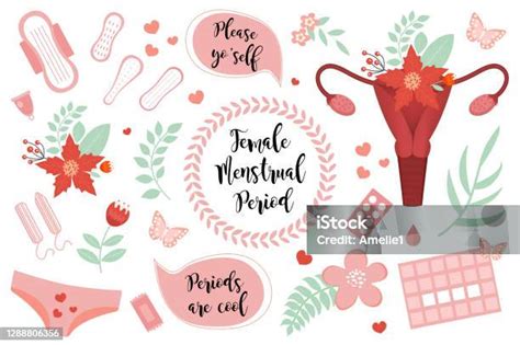 여성 생리 기간 설정 여성 생식 시스템 패드 탐폰 꽃의 여왕 생리 달력의 스티커 아이콘의 컬렉션 벡터 일러스트레이션 0명에 대한 스톡 벡터 아트 및 기타 이미지 Istock