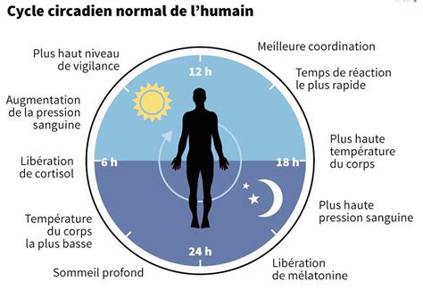 Comment bien gérer notre horloge biologique DNC NC
