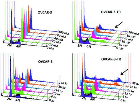 Bpr0l075 Induces Concentration And Time Dependent Cell Cycle Arrest In