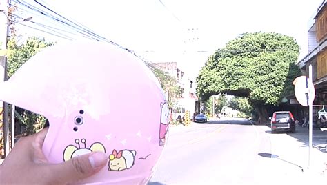 奇！彰化驚見「安全帽樹」 居民：大卡車幫忙修剪的！