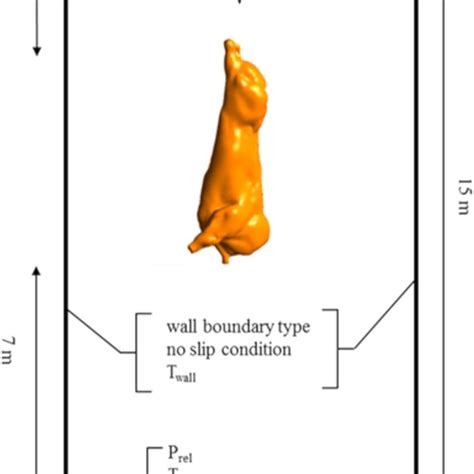 three‐dimensional computational domain and boundary conditions for
