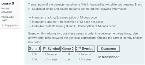 Solved Transcription Of The Developmental Gene M Is