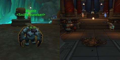 How To Farm Reputation With The Loamm Niffen In Wow Dragonflight