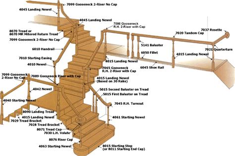 Anatomy Of Stairs