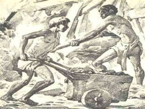 Imagen Tomada Del Sitio