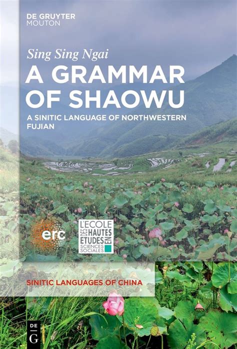 Sinitic Languages Of China Slch 5 A Grammar Of Shaowu 9781501517723