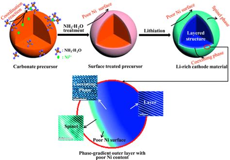 Schematic Diagram Of The Formation Process And Design Strategy Of