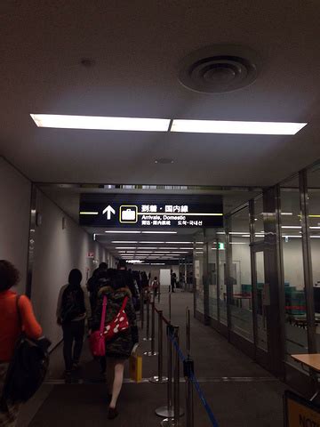 2023东京游玩攻略 东京交通 住宿 行程 美食 购物攻略 东京注意事项 实用信息去哪儿攻略