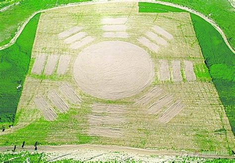 新疆首次系统开展藜麦景观农业种植 A05融媒连线 2024 06 14 新疆日报