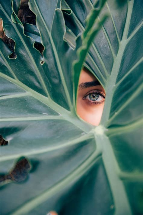 Mindfulness Skills Observe Describe Participate — Bridge Street Psychology