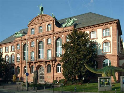 Senckenberg Museum Of Natural History Frankfurt Tourism