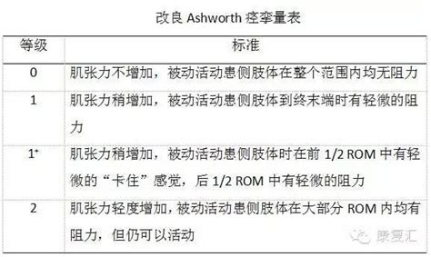 痉挛的康复评定与治疗肌肉